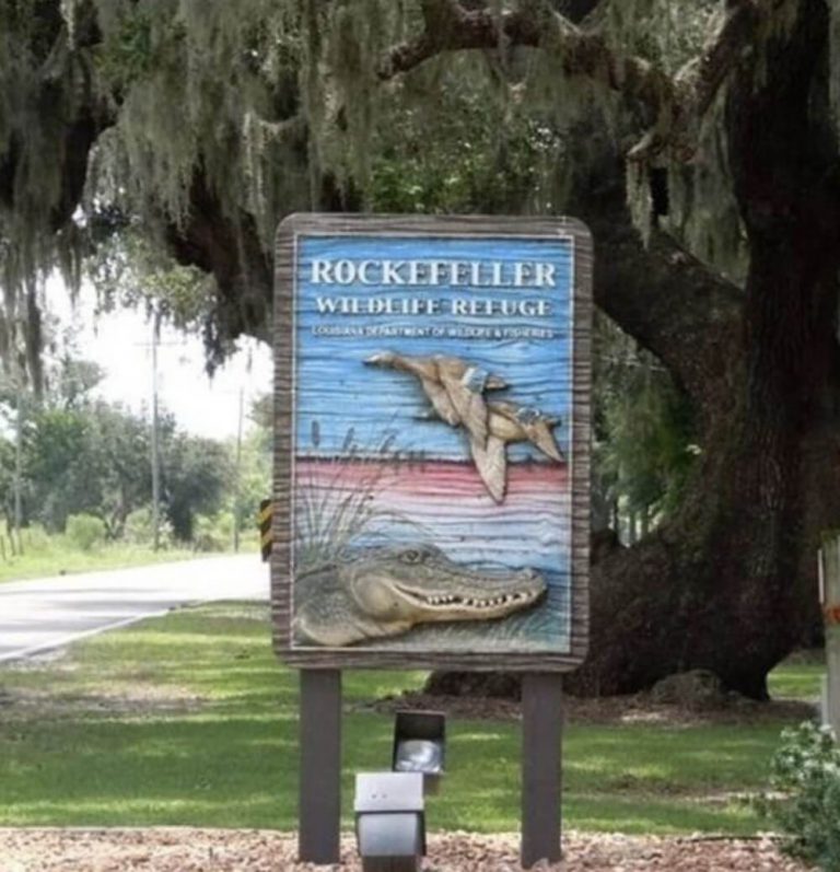Rockefeller Wildlife Refuge - Cameron Parish Tourism